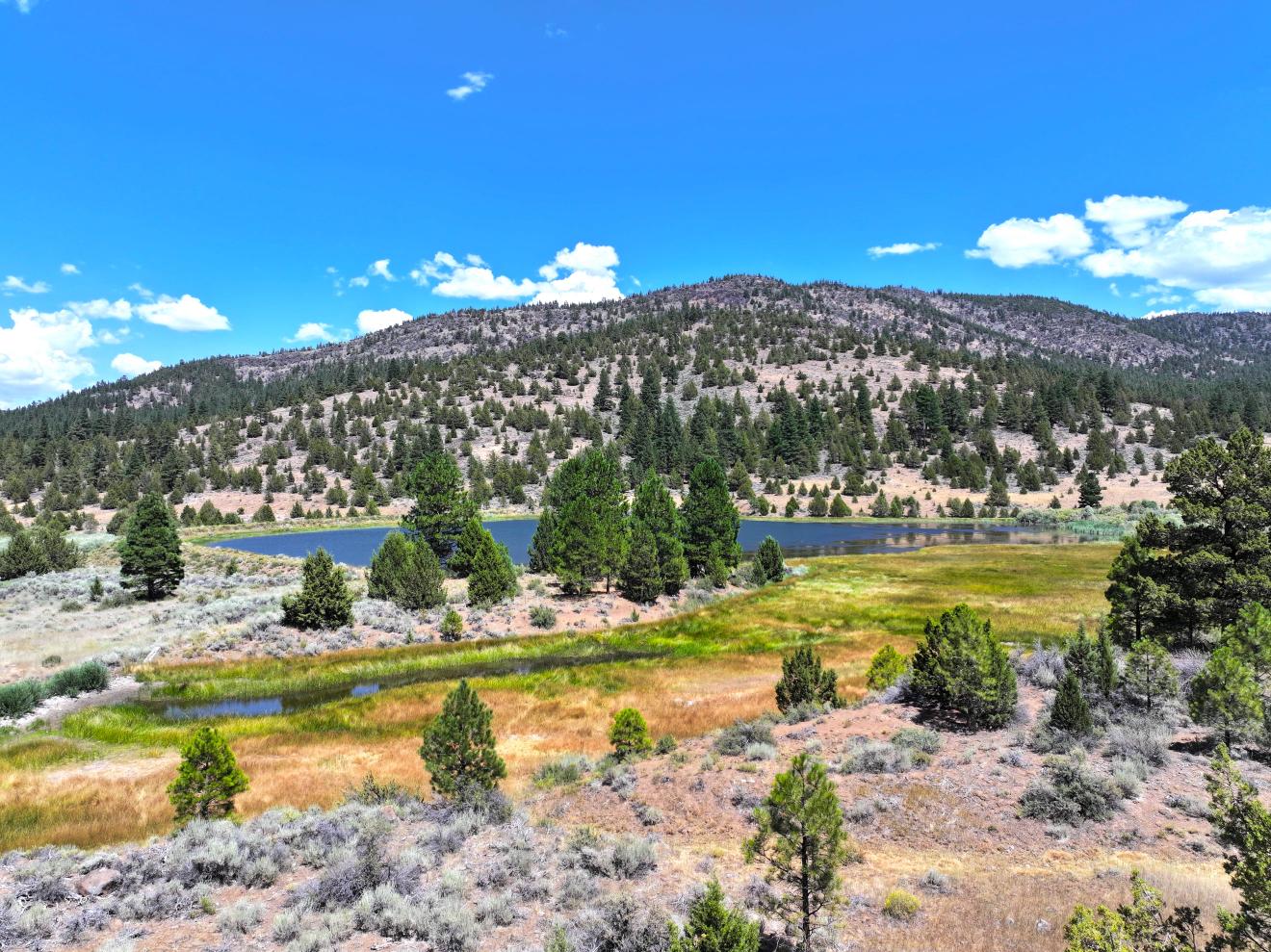 Far West Real Estate | Ranches | Antelope Valley Ranch