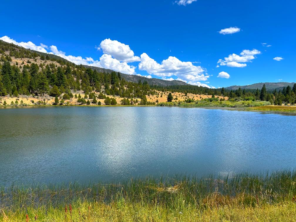 Far West Real Estate | Ranches | Antelope Valley Ranch