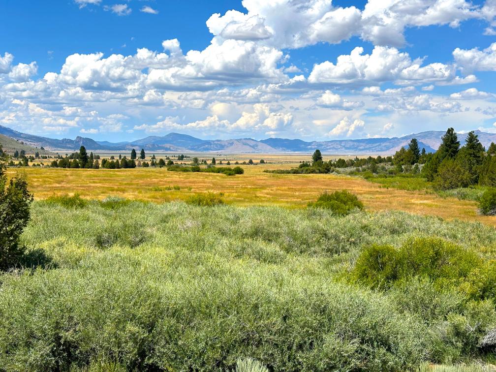 Far West Real Estate | Ranches | Antelope Valley Ranch