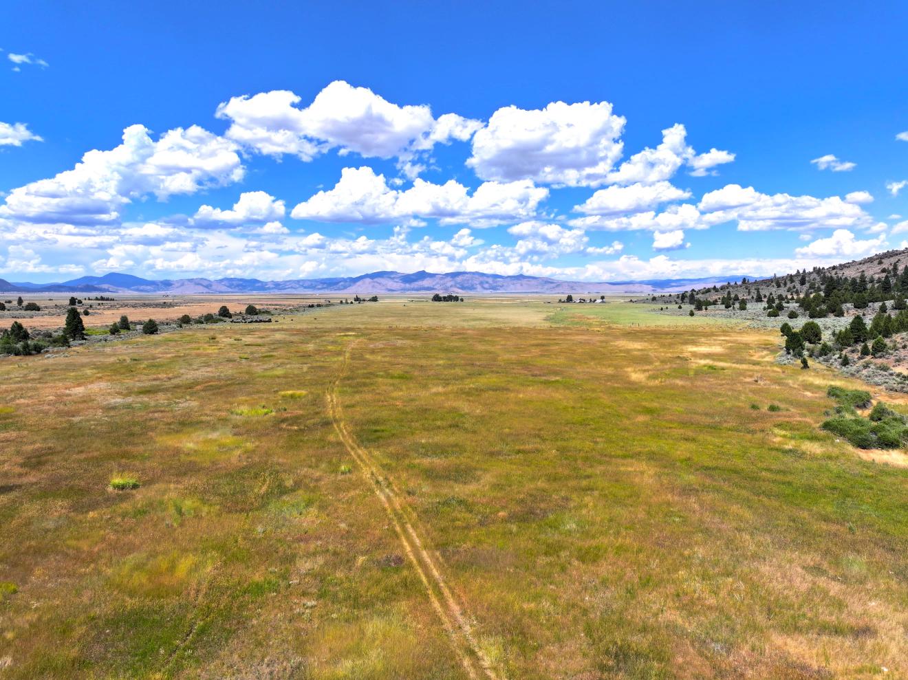 Far West Real Estate | Ranches | Antelope Valley Ranch