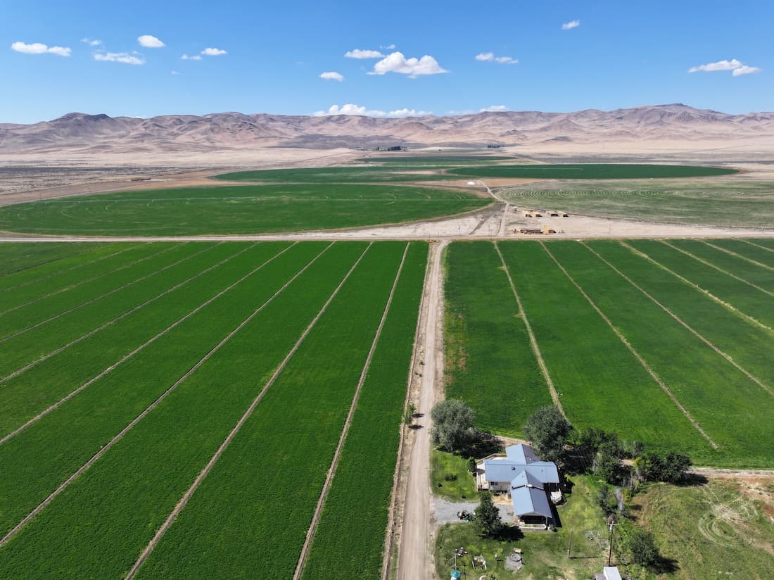 Far West Real Estate | Farms | Lower Kings River Farm